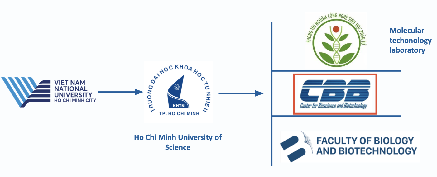 Giới thiệu – CBB Website
